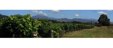 Australsk vin ? se vores store udvalg af australsk vin